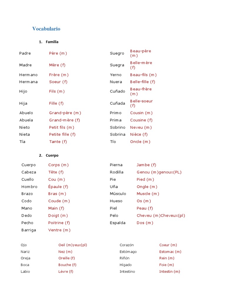 Vocabulario Francés Básico | PDF