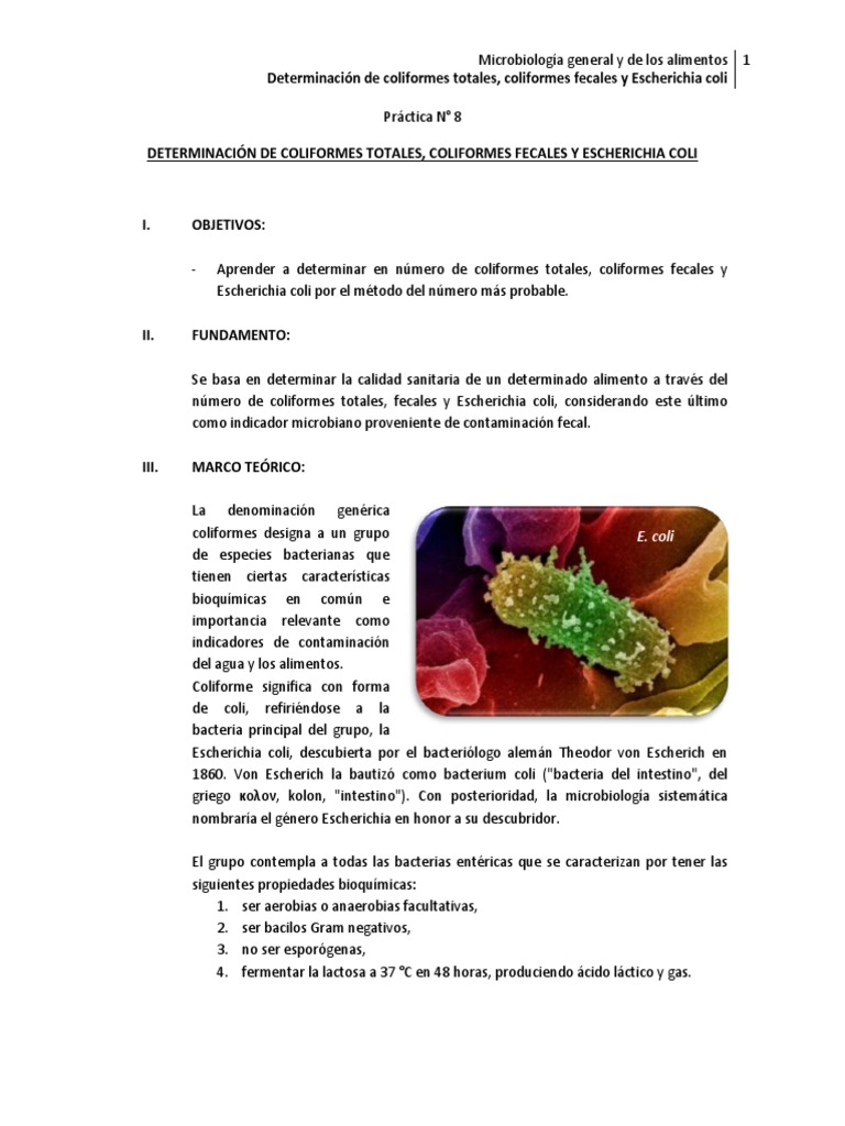 Determinación de Coliformes Totales | PDF | Procariota | Microbiología