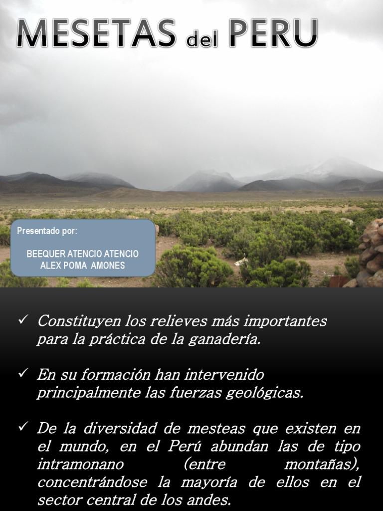 Mesetas Andinas del Perú: Características y Uso | PDF | Andes ...