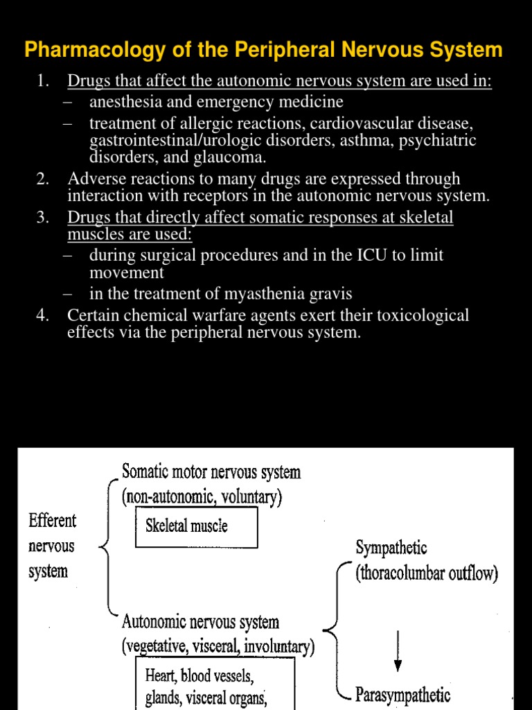 Pharmacology of The Peripheral Nervous System | PDF | Acetylcholine ...
