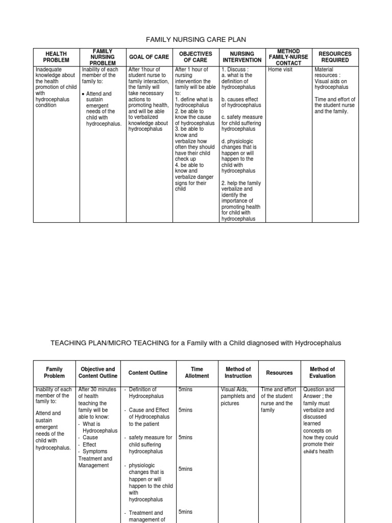 Family Nursing Plan for Hydrocephalus | PDF