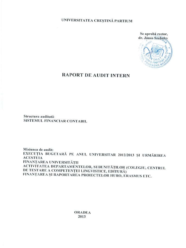 Raport Audit Intern | PDF