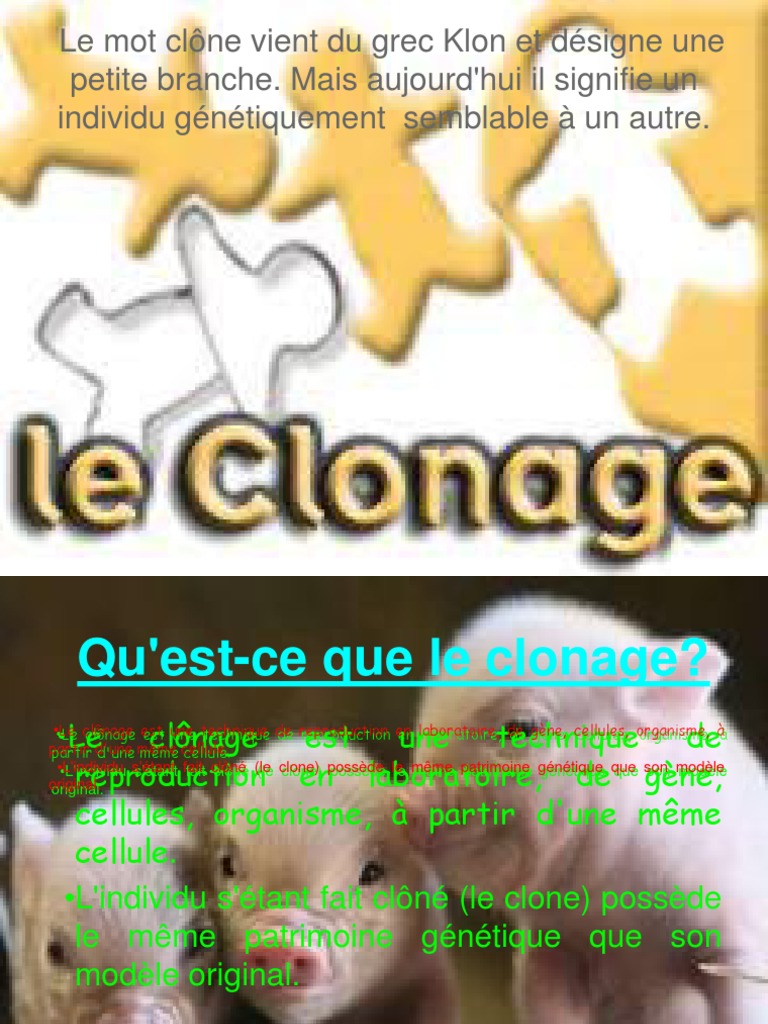 Comprendre le clonage et ses enjeux | PDF | Clonage | la reproduction