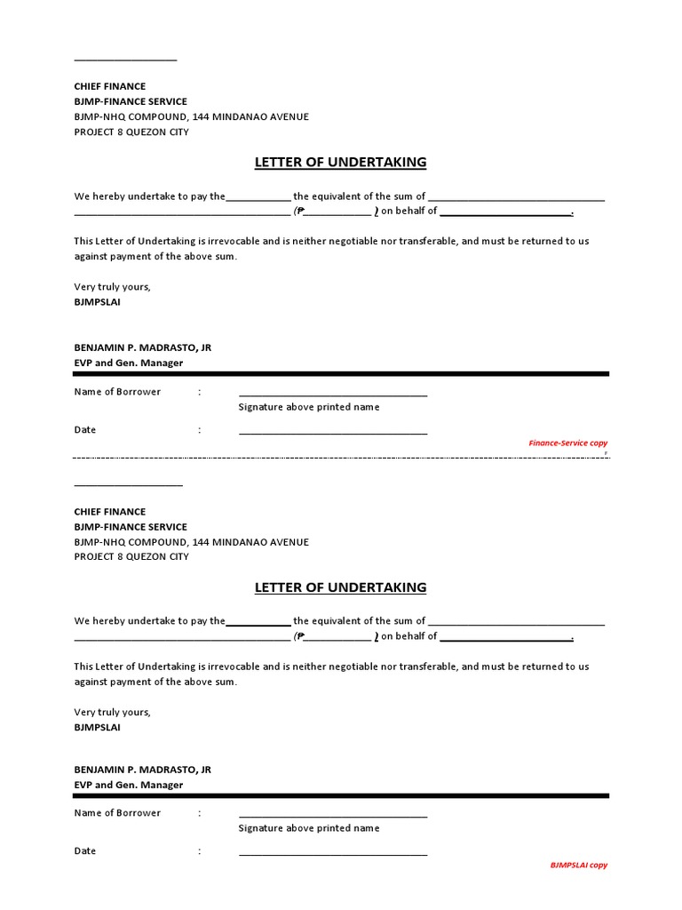 Letter of Undertaking | PDF