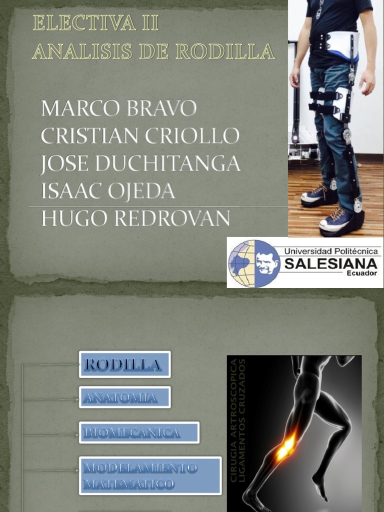 Estado Del Arte de La Rodilla Isaac Ojeda | PDF | Rodilla | Anatomía del miembro inferior