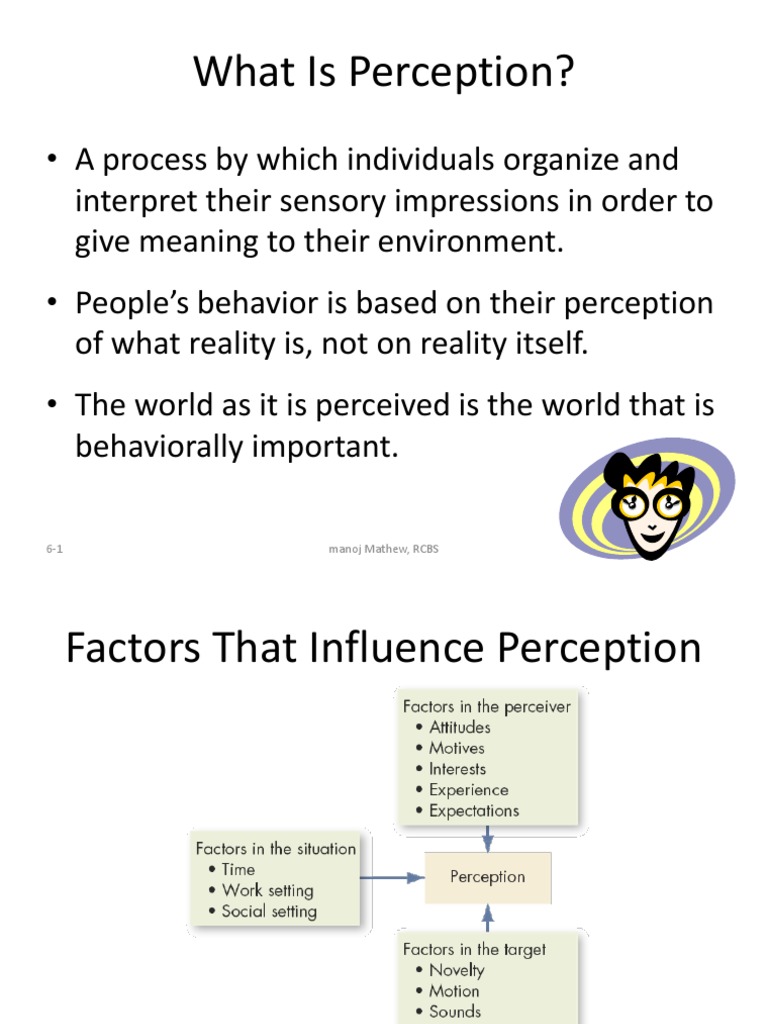 What Is Perception?: 6-1 Manoj Mathew, RCBS | PDF | Perception ...