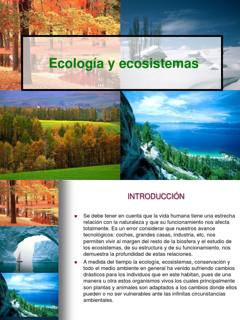 Ecologia y Medio Ambiente Presentacion | PDF | Ecosistema | Ecología