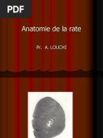Anatomie des anses grêles et mésentère | PDF | Péritoine | Spécialités ...