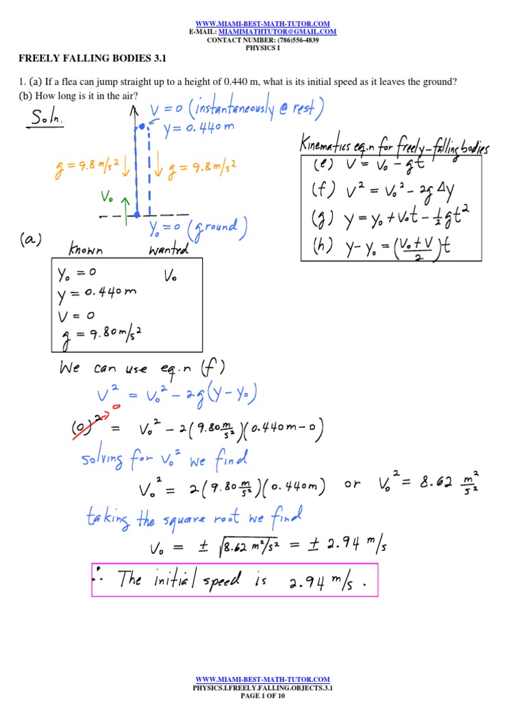 Eely Falling Objects 3 1 Soln | PDF | Velocity | Motion (Physics)