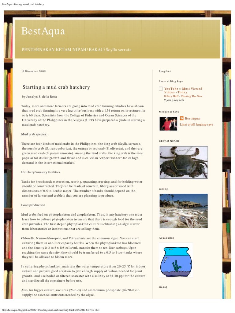 Starting a Mud Crab Hatchery Guide | PDF | Spawn (Biology) | Crab
