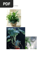 HSB | PDF | Cell (Biology) | Organisms