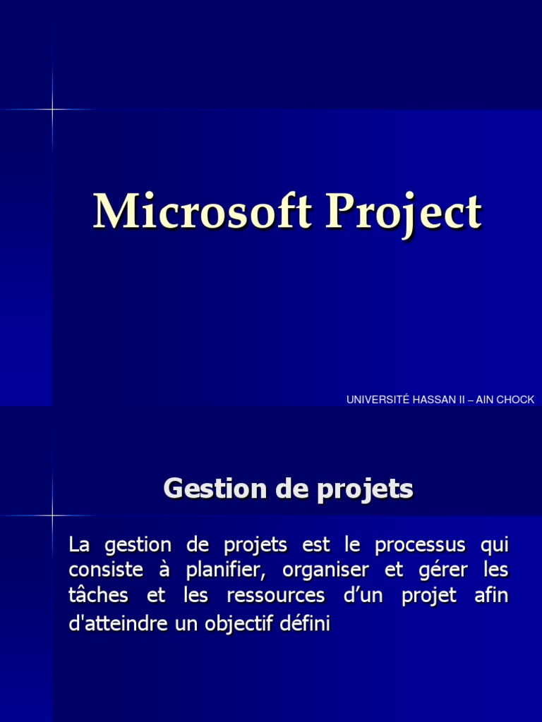 Ms Project | PDF | Gestion de projet | Planification
