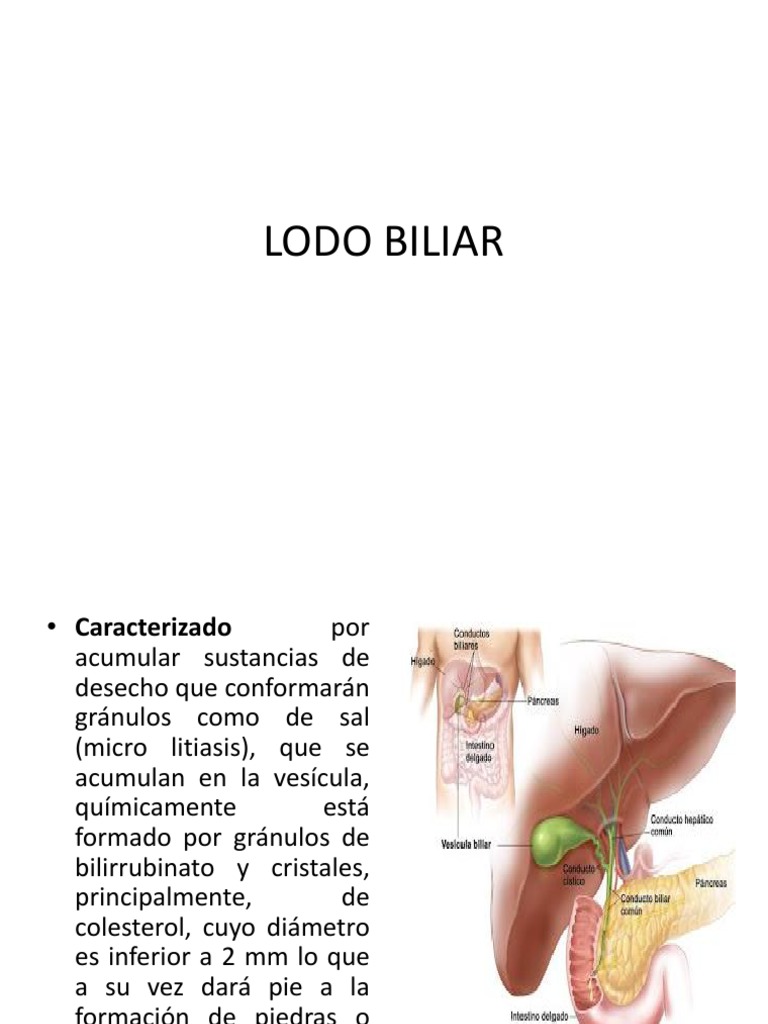 Lodo BiliaLr | PDF | Salud y bienestar