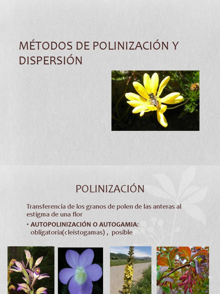 Métodos de Polinización y Dispersión de Plantas | PDF | Ciencia y ...