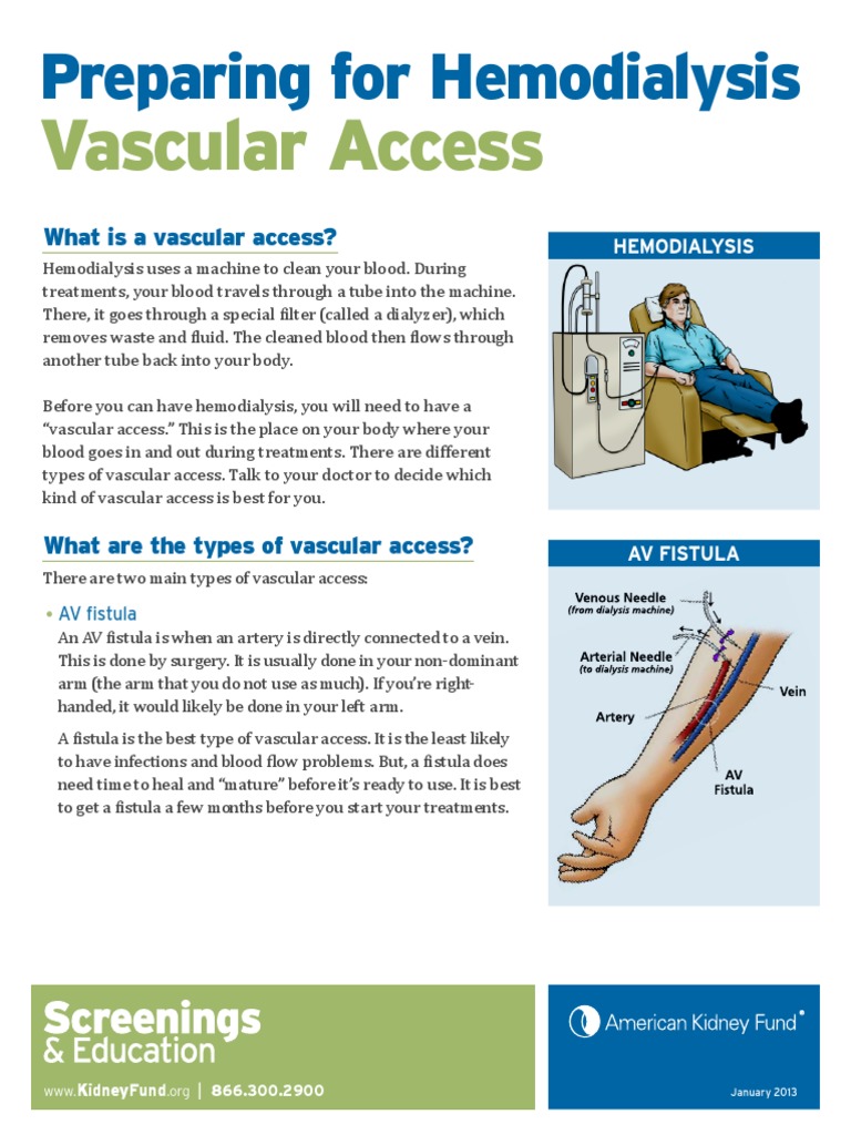 Vascular Access: Preparing For Hemodialysis | PDF | Science & Mathematics