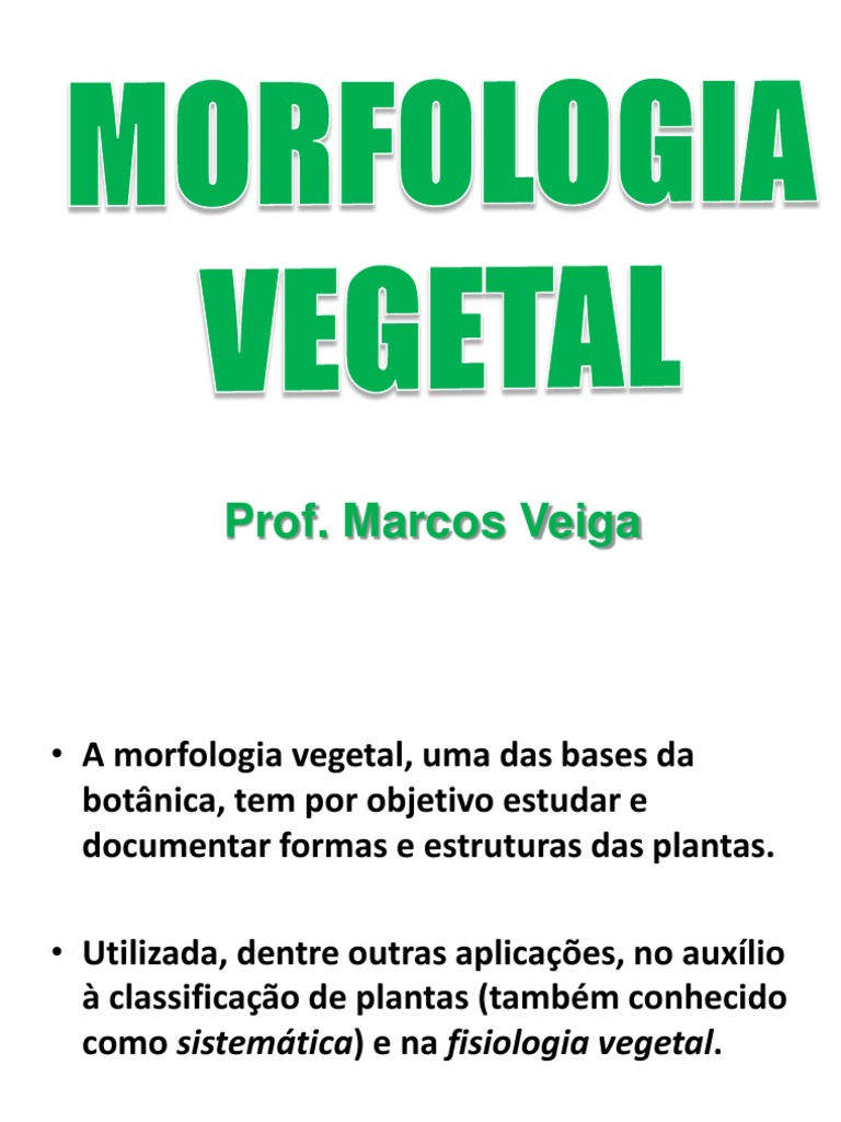 Os principais tecidos vegetais e suas funções | PDF | Raiz | Morfologia ...