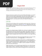 EPOC and Oxygen Debt Recovery Explained | PDF | Cellular Respiration ...