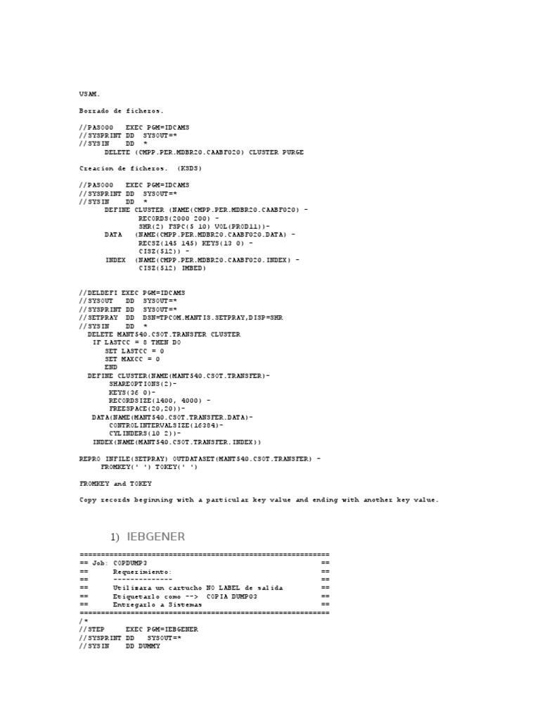 Manual JCL | PDF | Computer Architecture | Computer Programming