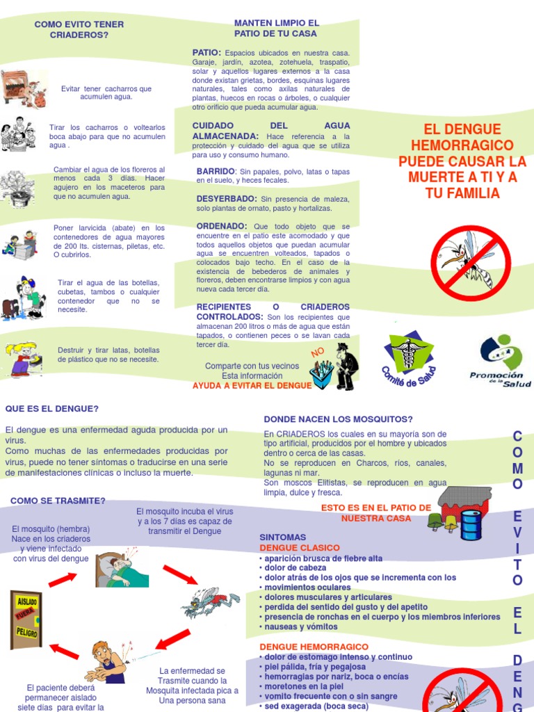 Tríptico sobre prevención del dengue | PDF | Enfermedades y trastornos ...