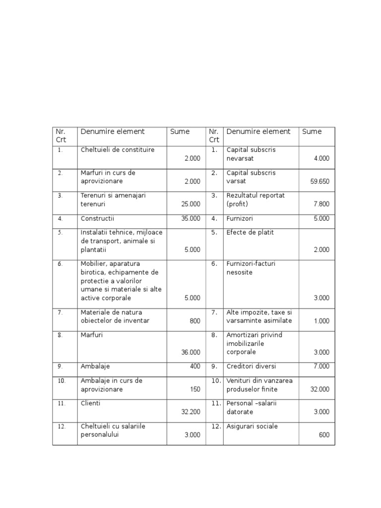 Bilant Initial Comert | PDF