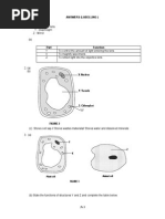 Science Form 3 Textbook Answers | PDF | Respiratory System | Heart
