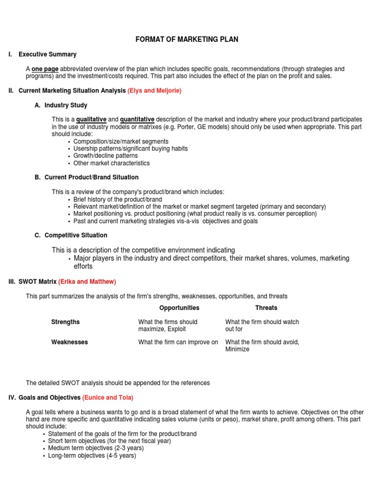 Marketing Plan Format Overview | PDF | Strategic Management | Brand