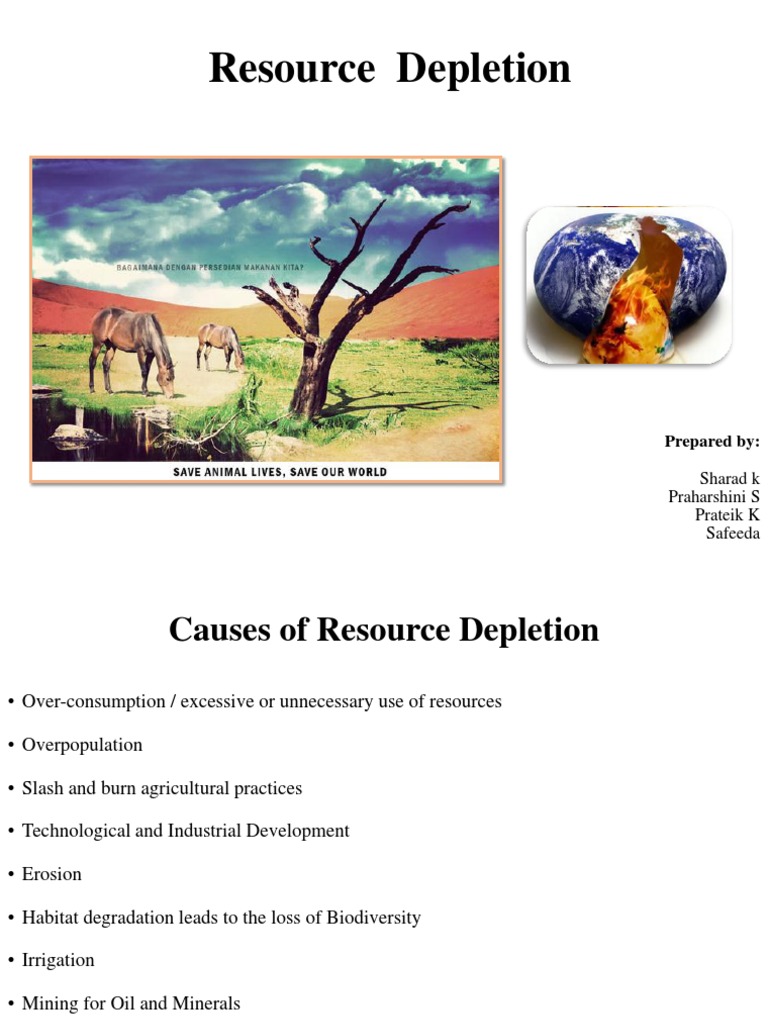Resource Depletion Final | PDF | Logging | Resource Depletion