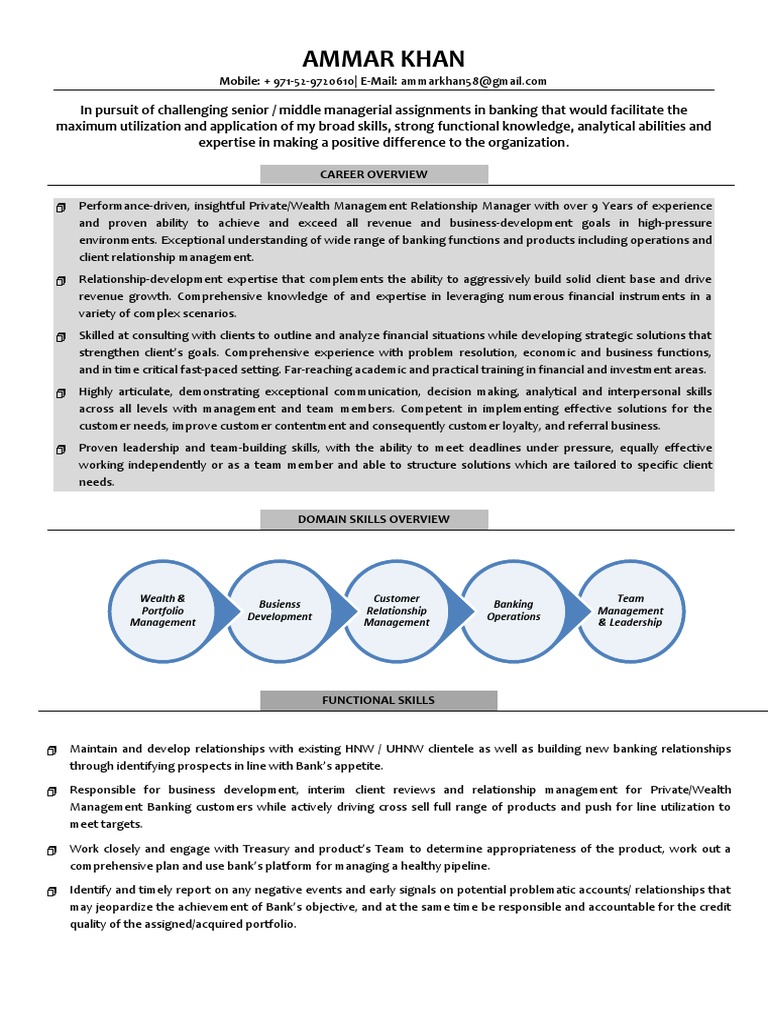 Ammar - CV | PDF | Wealth Management | Banks