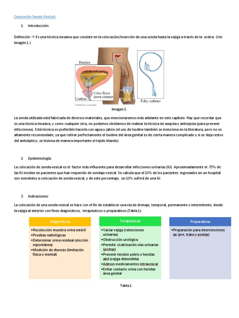 Colocación De Foley Femenino