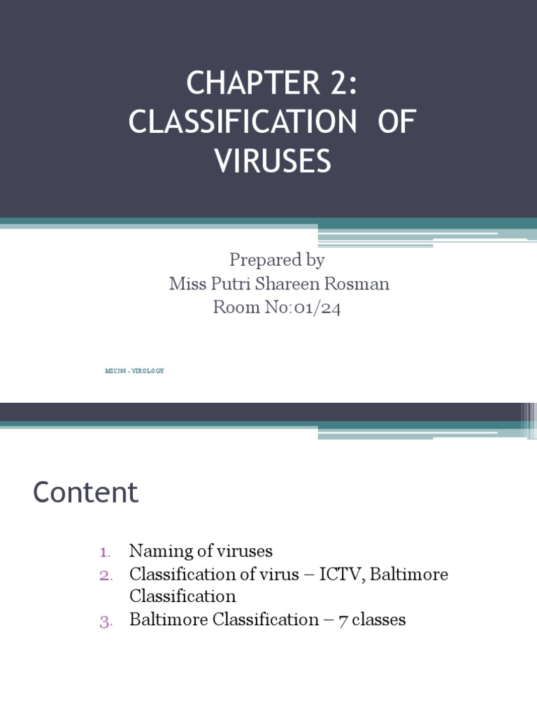 Classification of Viruses | PDF | Sense (Molecular Biology) | Reverse ...