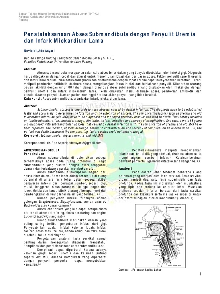 Abses Submandibula | PDF