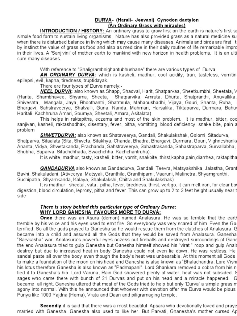 DURVA - (Harali - Jeevani) Cynodon Dactylon (An Ordinary Grass With ...