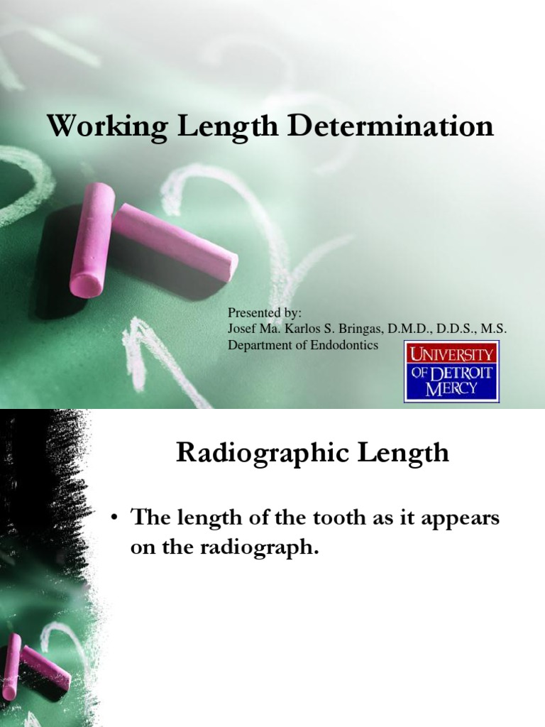 Endodontics Working Length | Dental Degree | Career And Technical Education