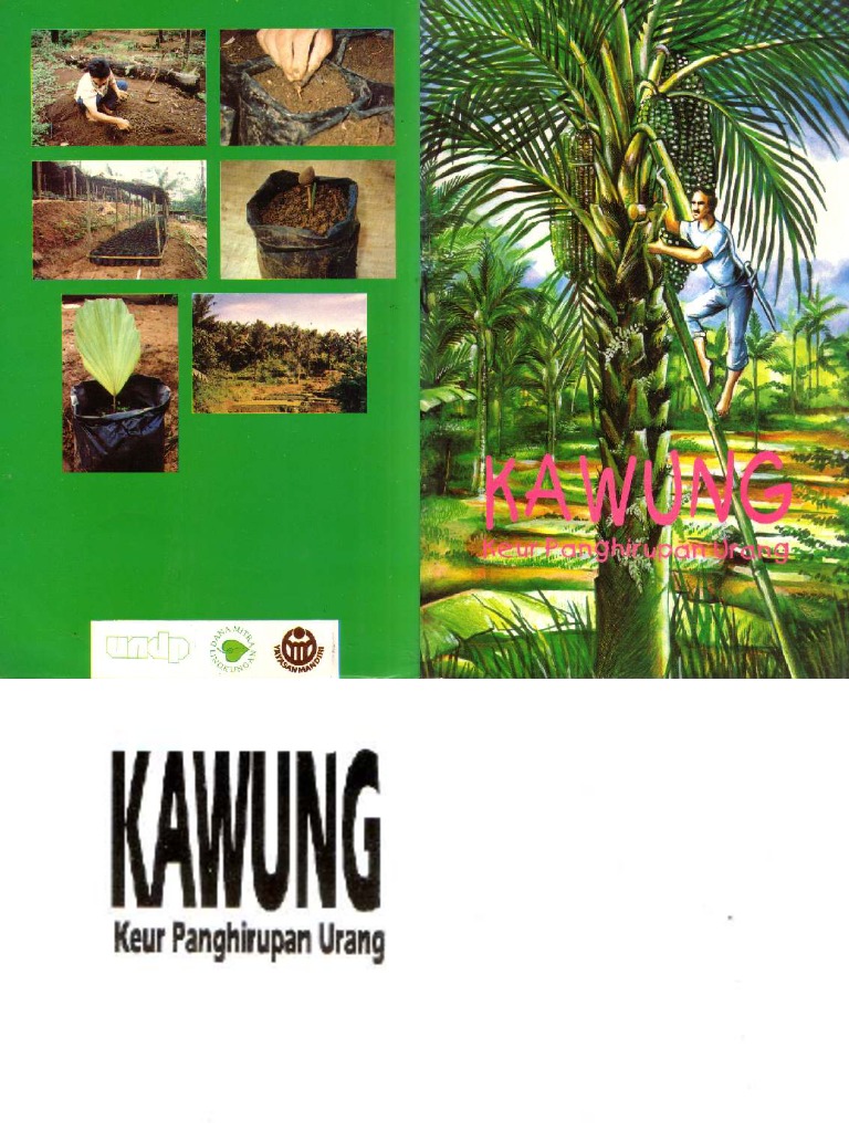 Komik Kawung Bahasa Sunda | PDF