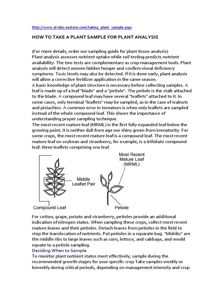 Plant Sample For Plant Analysis | PDF | Soil | Plant Nutrition