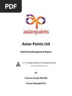 Asian Paints Project | PDF