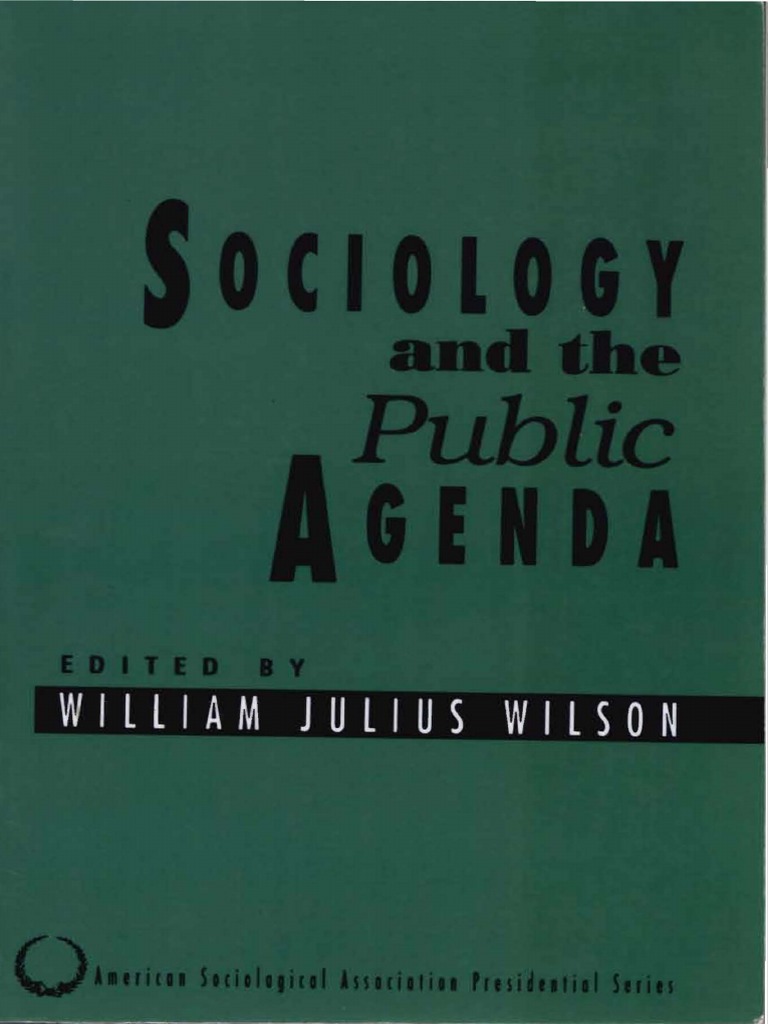 Kingdon John - How Do Issues Get On Publ | PDF | Social Science | Causality