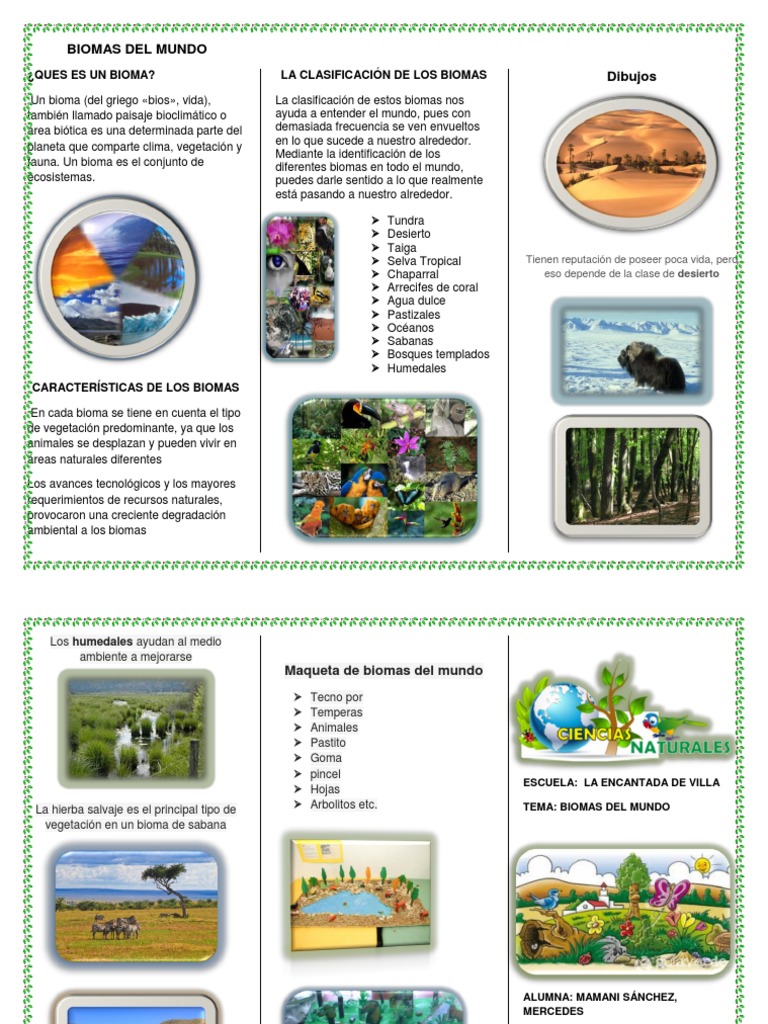 Biomas del Mundo: Clasificación y Dibujo | PDF | Tecnología