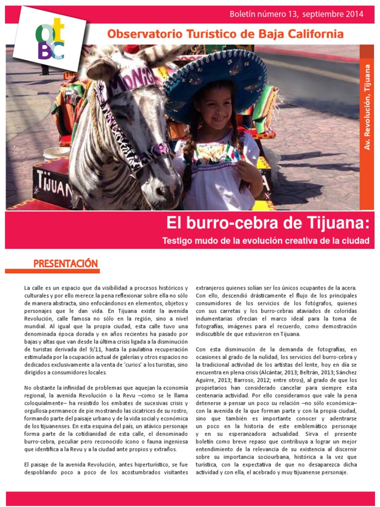 El Burro-Cebra de Tijuana. Testigo Mudo de La Evolución Creativa de La ...