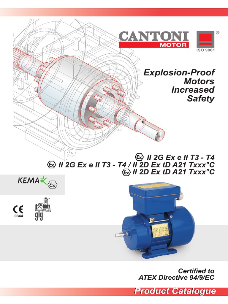 Motor Specification | PDF | Electromagnetism | Electricity