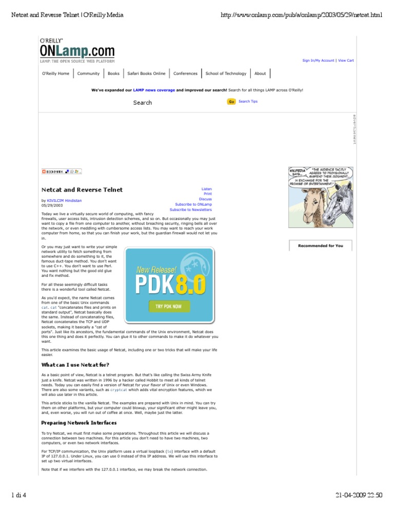 Netcat and Reverse Telnet | PDF | Port (Computer Networking) | Command Line Interface