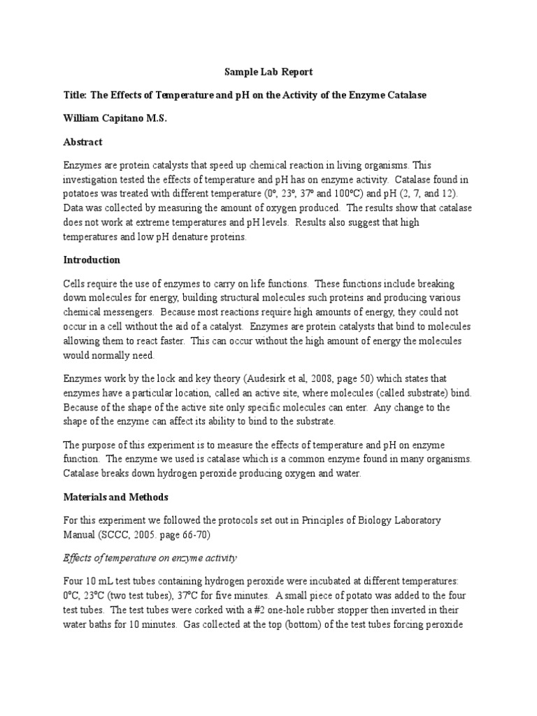 Bio 101 Sample Lab Report | PDF | Active Site | Enzyme