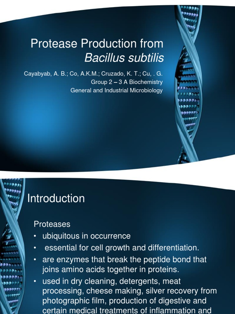 Protease Production From Bacillus Subtilis Bacillus Biochemistry