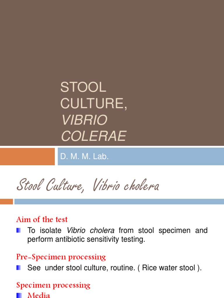 Vibrio Cholerae Stool Culture Guide | PDF | Microbiology | Biology