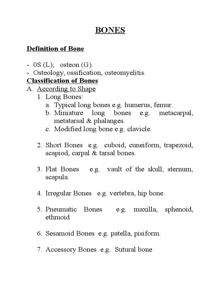 Bones: Definition of Bone | PDF