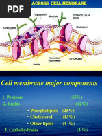 Bio Cell Transport Cornell Notes | PDF | Cell Membrane | Osmosis