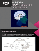El Colículo Superior | PDF | Anatomía humana | Neurociencia