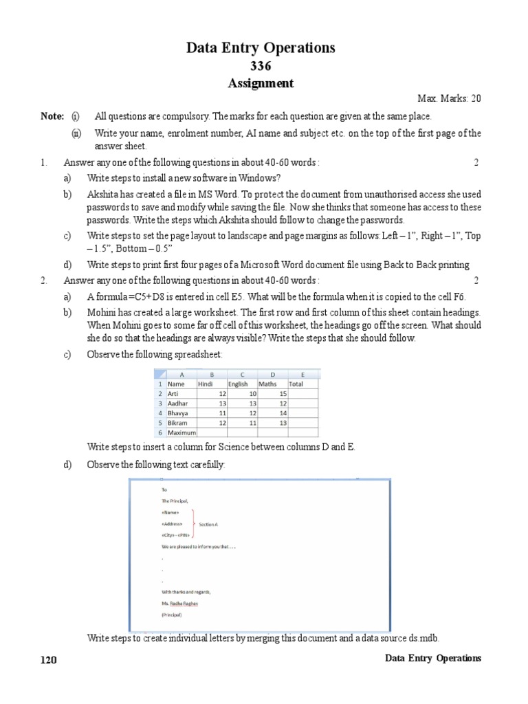 Data Entry Assignment Guidelines | PDF | Spreadsheet | Microsoft Word