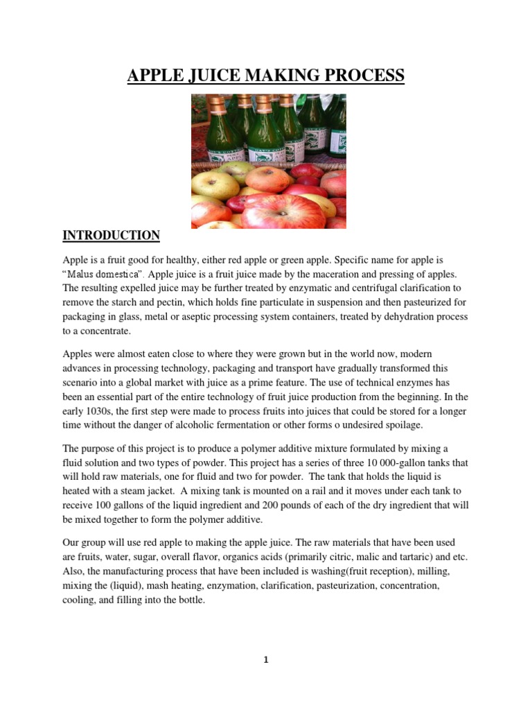 Apple Juice Making Process | PDF | Programmable Logic Controller | Juice