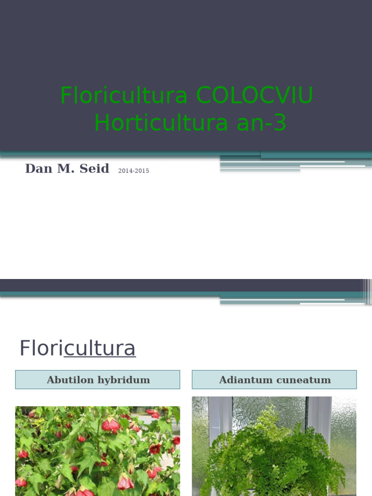 Flori Cultura | PDF